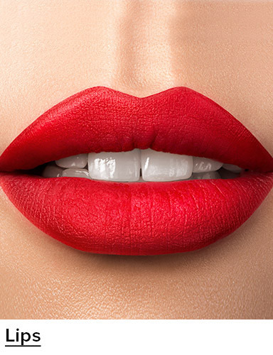 Online Shopping at Max